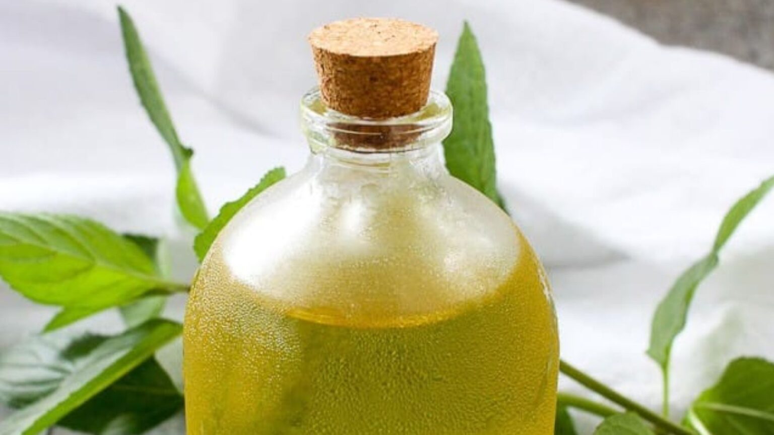 20 Refreshing Mint Recipes to Elevate Your Summer Dishes - Gimme From ...